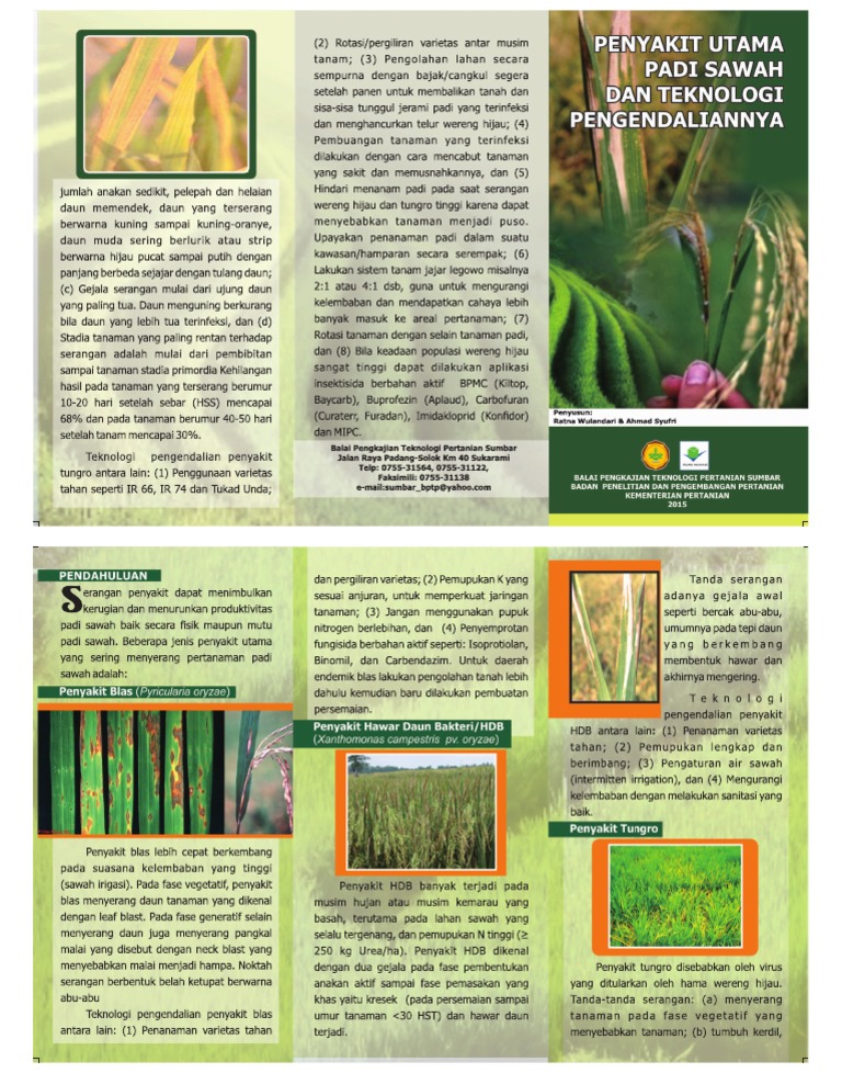 Reupload Leaflet Penyakit Padi Sawah | PDF