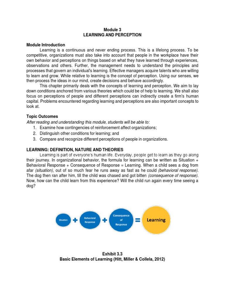 Module 3 | PDF | Learning Styles | Perception