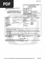 Incapacidad Imss Editable | PDF