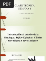 05 Tejidos Epiteliales III Especializaciones Del Dominio Basolateral ...