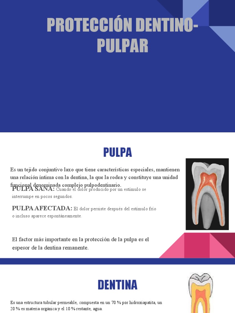 Protección Dentino-Pulpar | PDF | Esmalte de dientes | Calcio