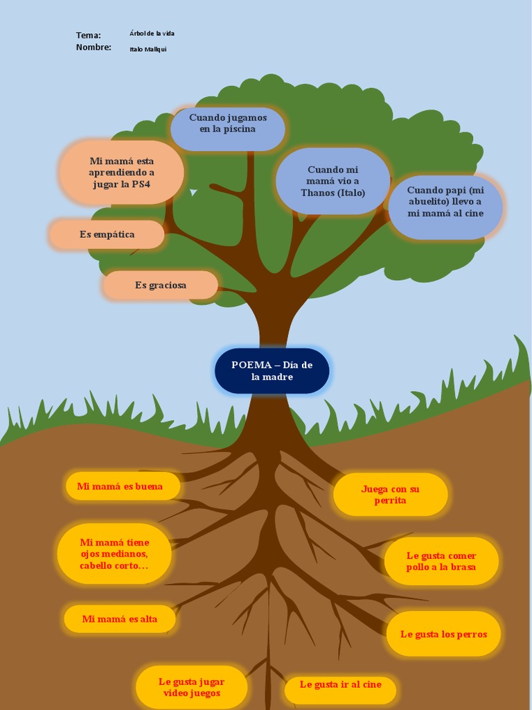 Esquema Del Árbol | PDF