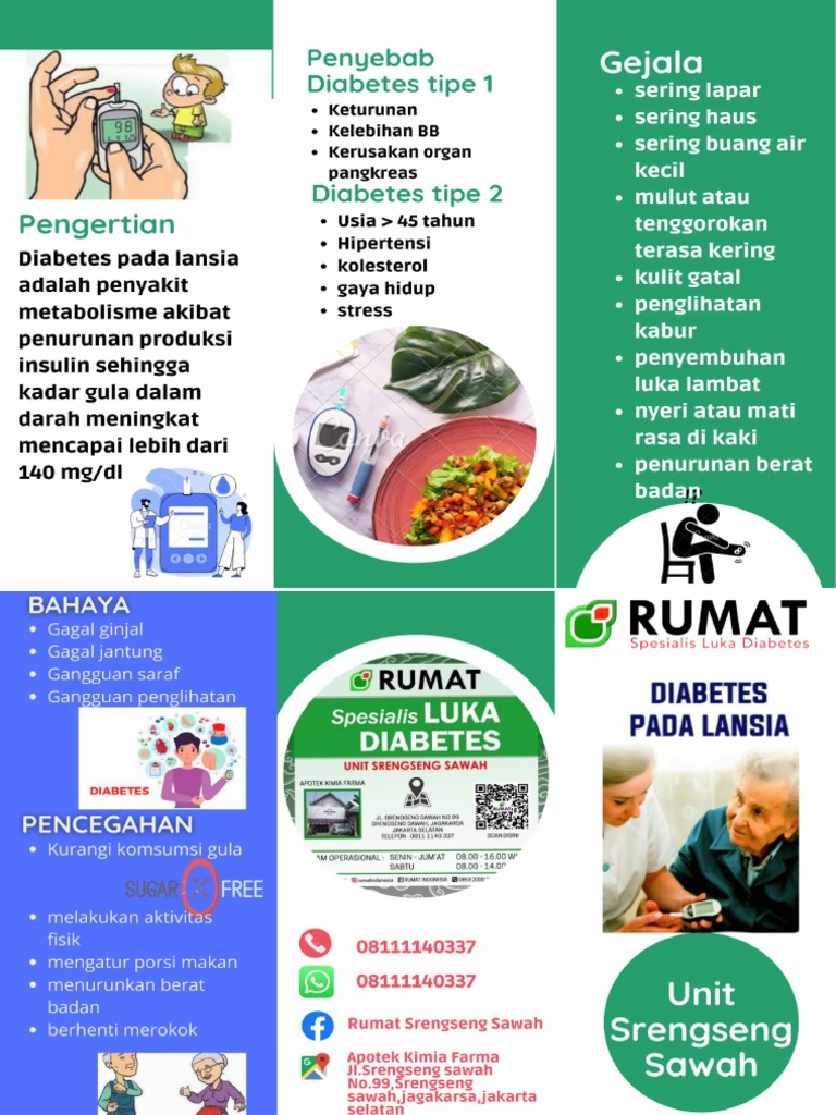 Leaflet DM Lansia | PDF