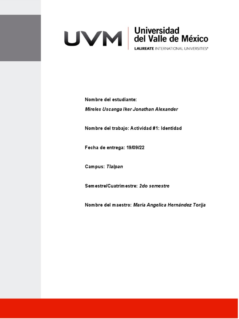 A#1 Imu | PDF | Diseño