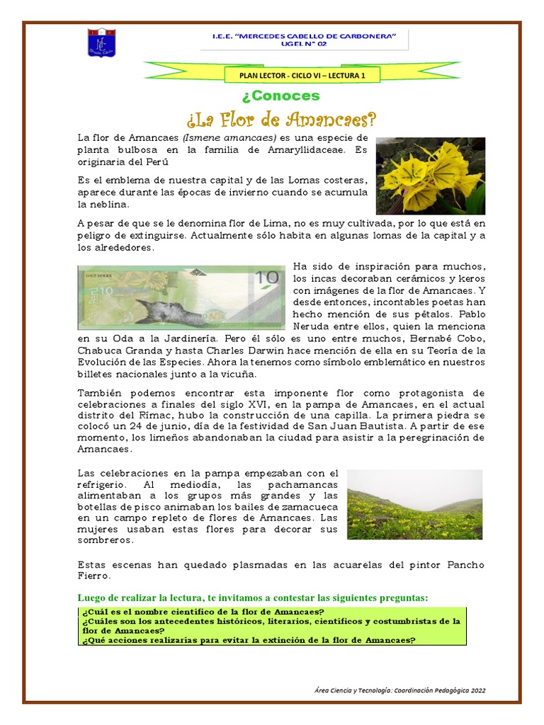 Lectura 1-Ciclo VI - Conoces La Flor de Amancaes | PDF