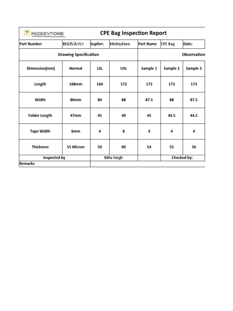 BS0252LLV CPE Bag Sample Report | PDF