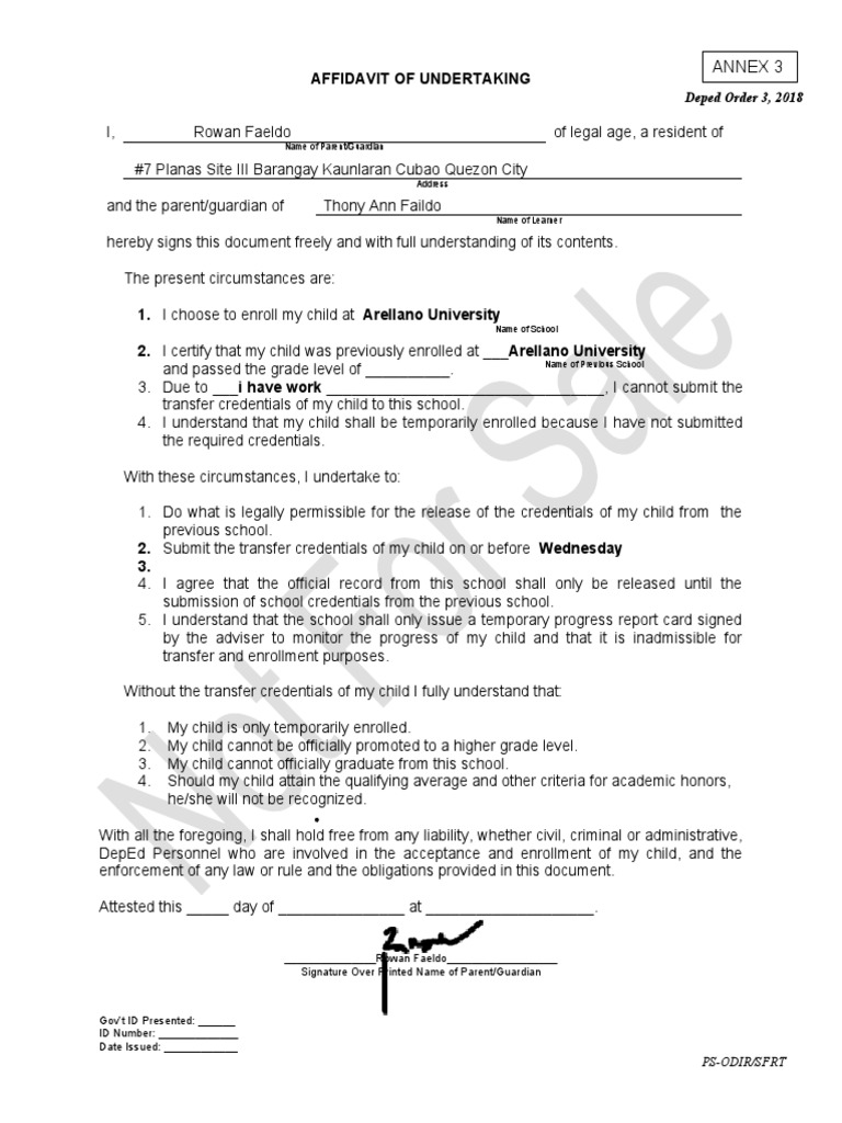 Annex 3 Affidavit of Undertaking DO 3 2018 1 | PDF | Credential | Government