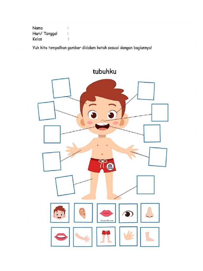 tubuhku paud | PDF