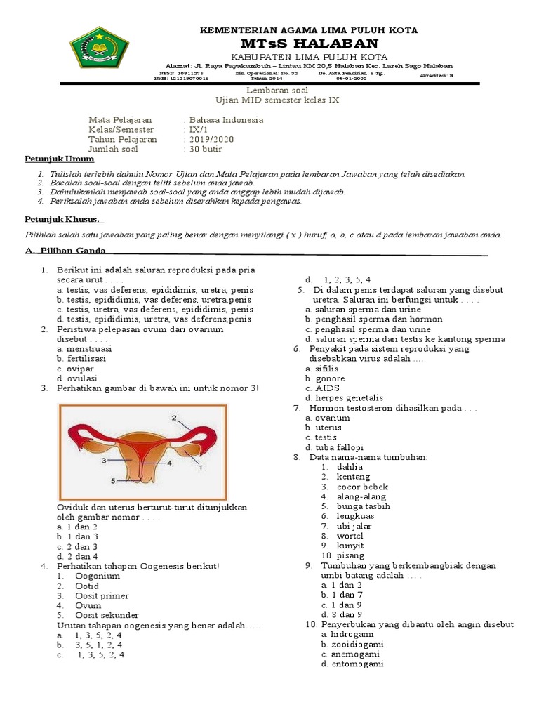 Mid Sem 1 Kelas 9 2019-2020 | PDF