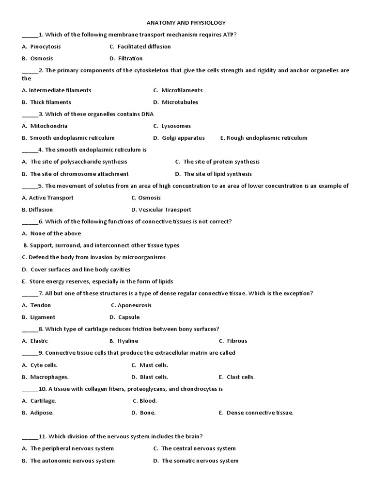 ANATOMY AND PHYSIOLOGY Exam | PDF | Bone | Connective Tissue