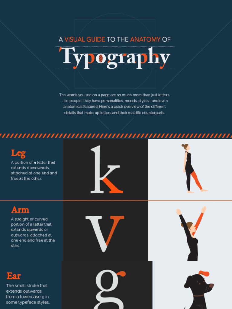 Typography Anatomy Guide | PDF | Serif | Letter Case