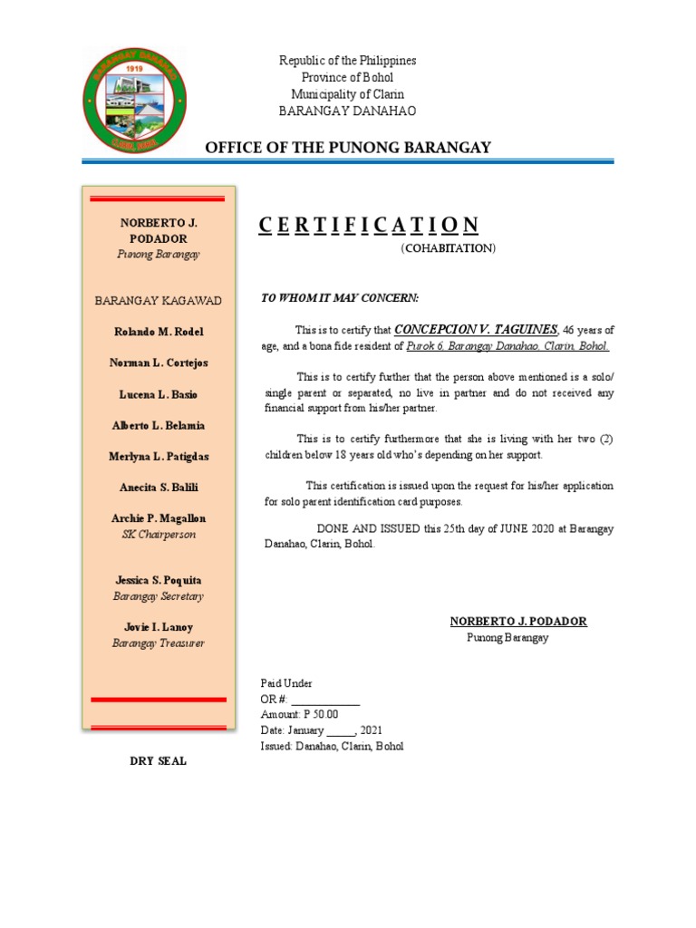Solo Parent Certification Sample | PDF
