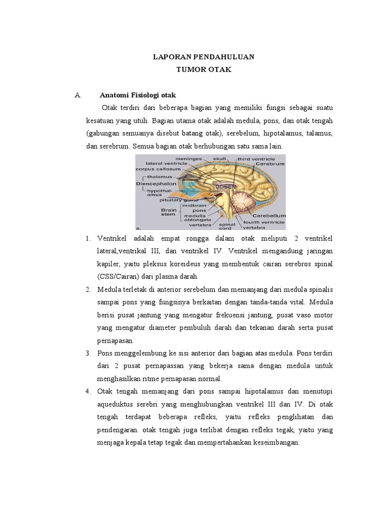 LP Tumor Otak | PDF