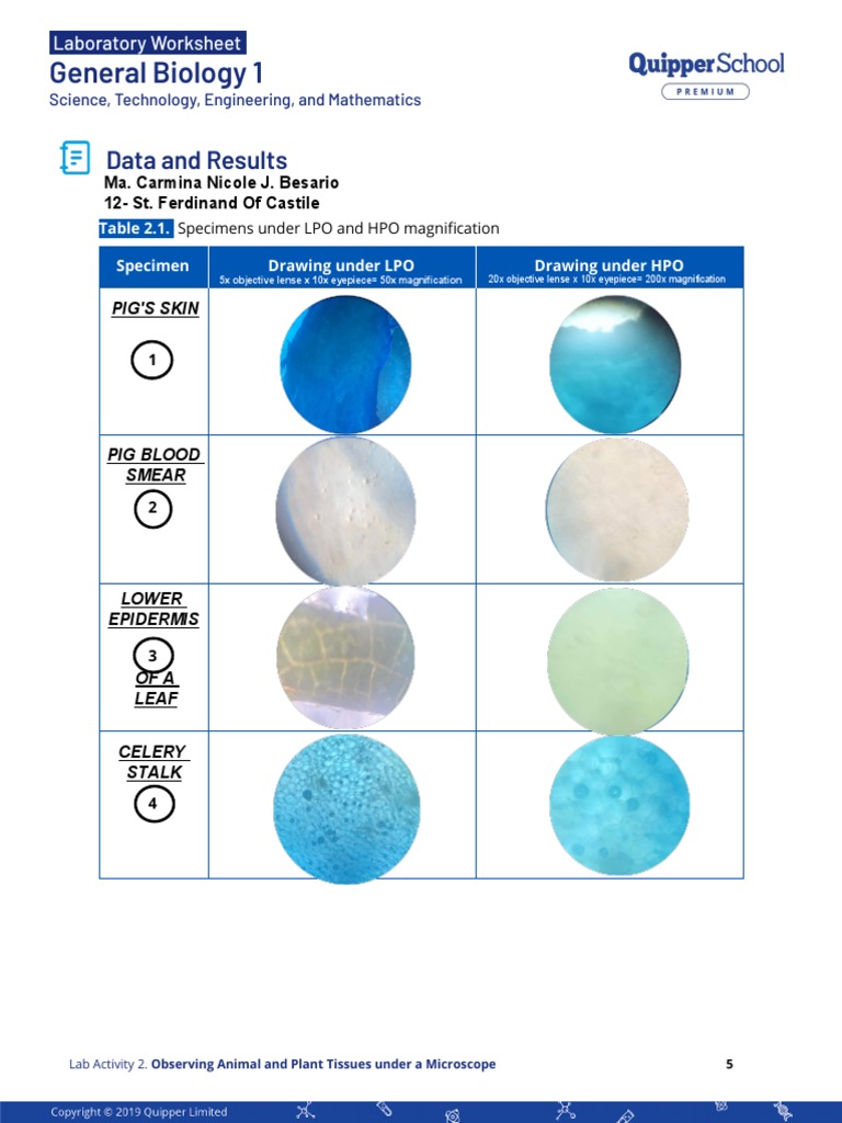 Unit-2-Experiment-1 (1) (1) (1) (1) (2) - 5-7 | PDF | Tissue (Biology ...