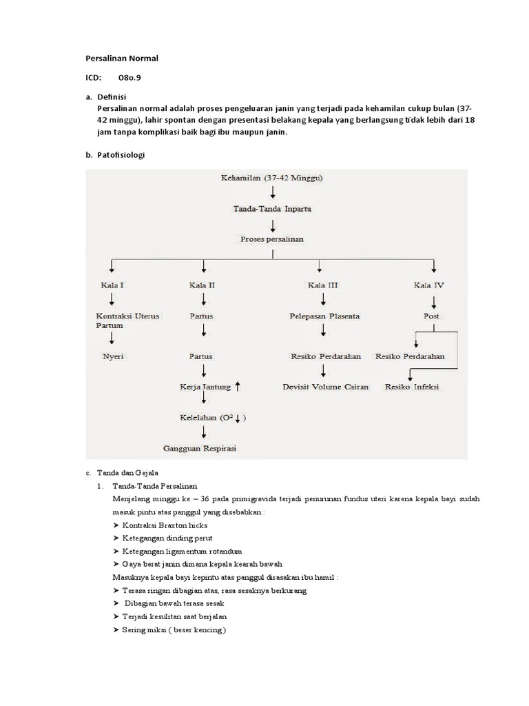 Persalinan Normal Pedoman | PDF