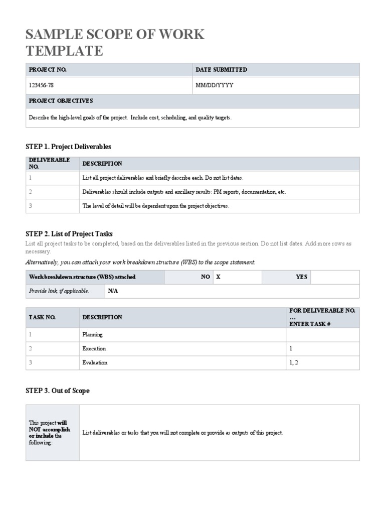 IC Sample Scope of Work 11358 - WORD | PDF | Project Management | Computing