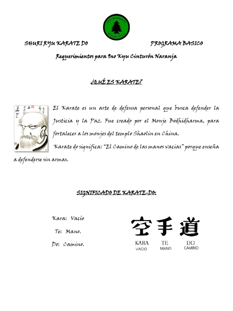 Shuri Ryu Karate Do Programa Basico | PDF | Kárate | Artes marciales ...