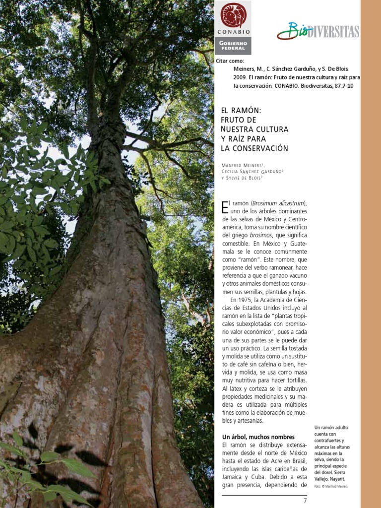 El Ramon | PDF | México | Organismos