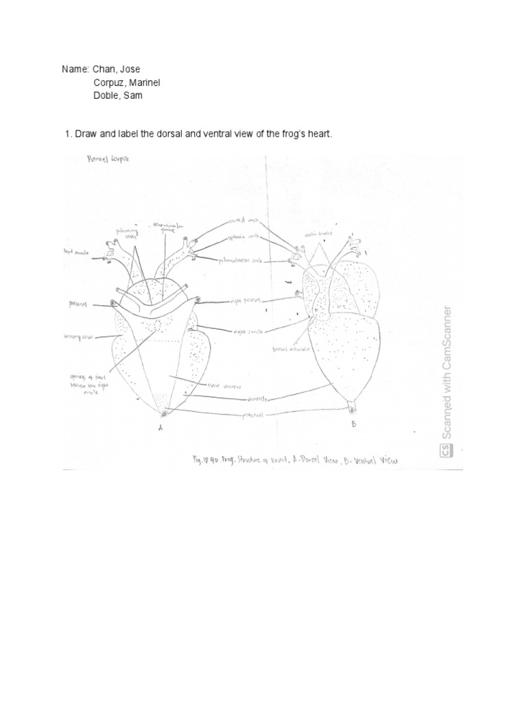 Group 2 - Activity 10 | PDF