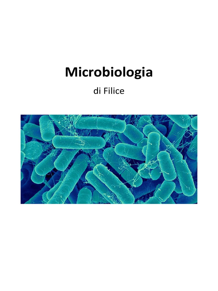 Microbiologia Di Filice | PDF