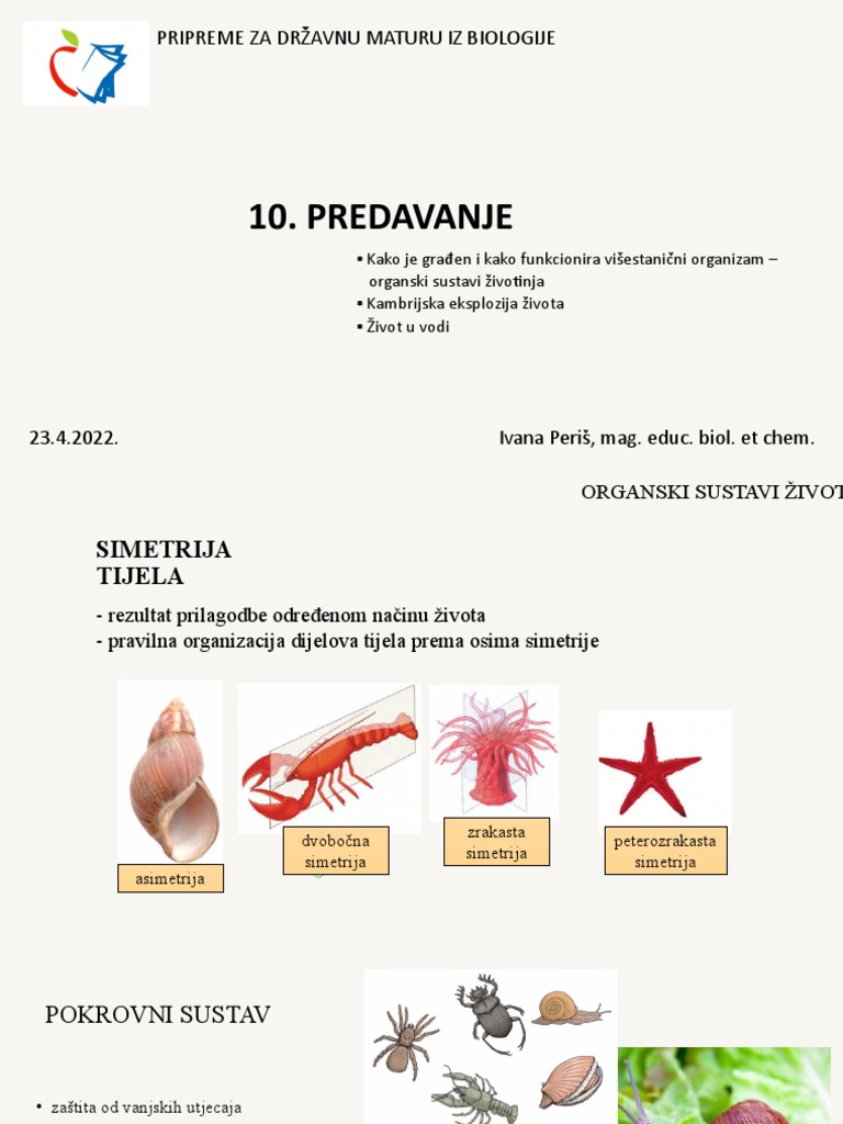 Predavanje | PDF