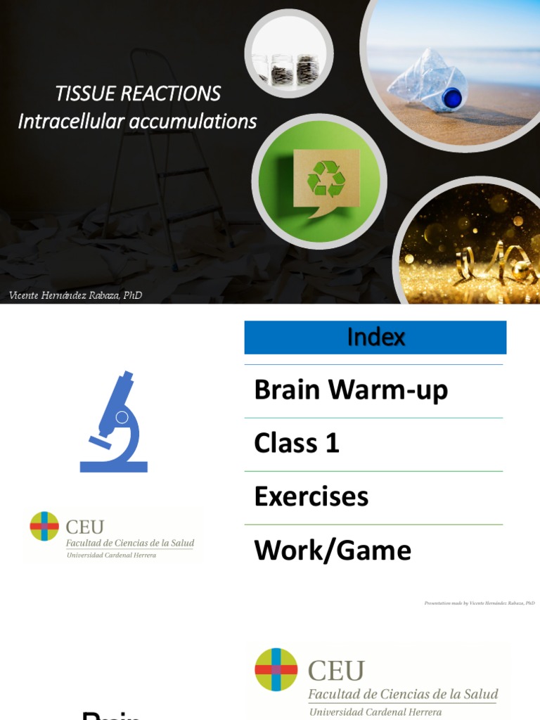 AP. M. 2. Cell Reaction. Intracellular Accumulations | PDF | Autophagy ...