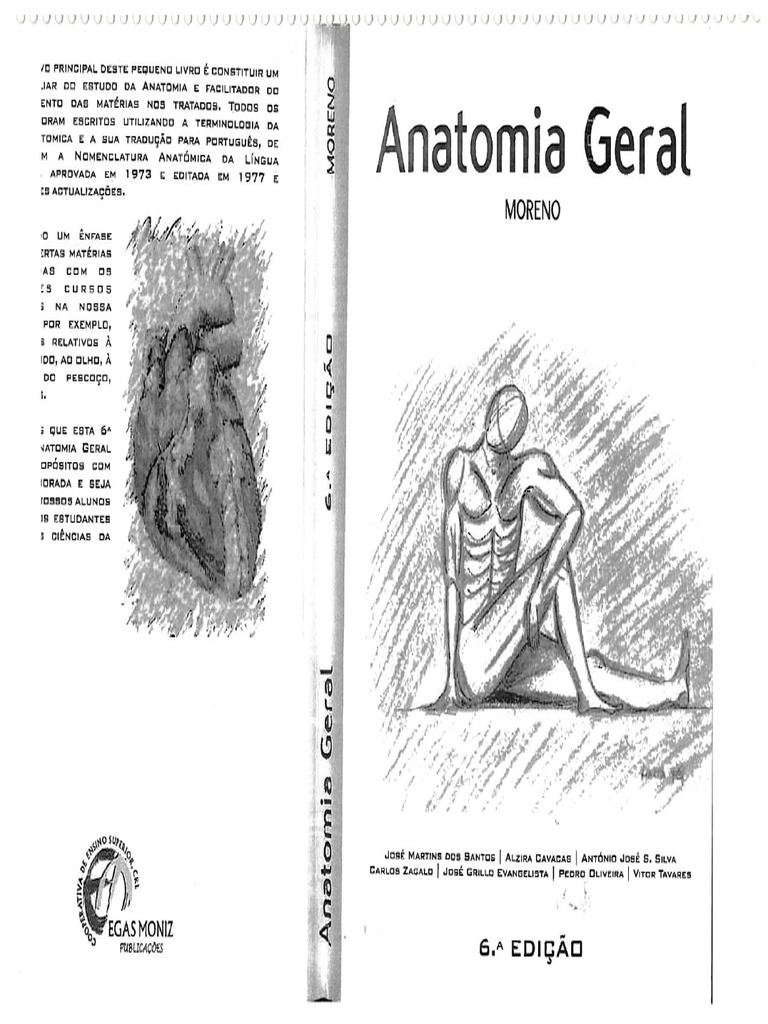 Anatomia Geral Moreno | PDF