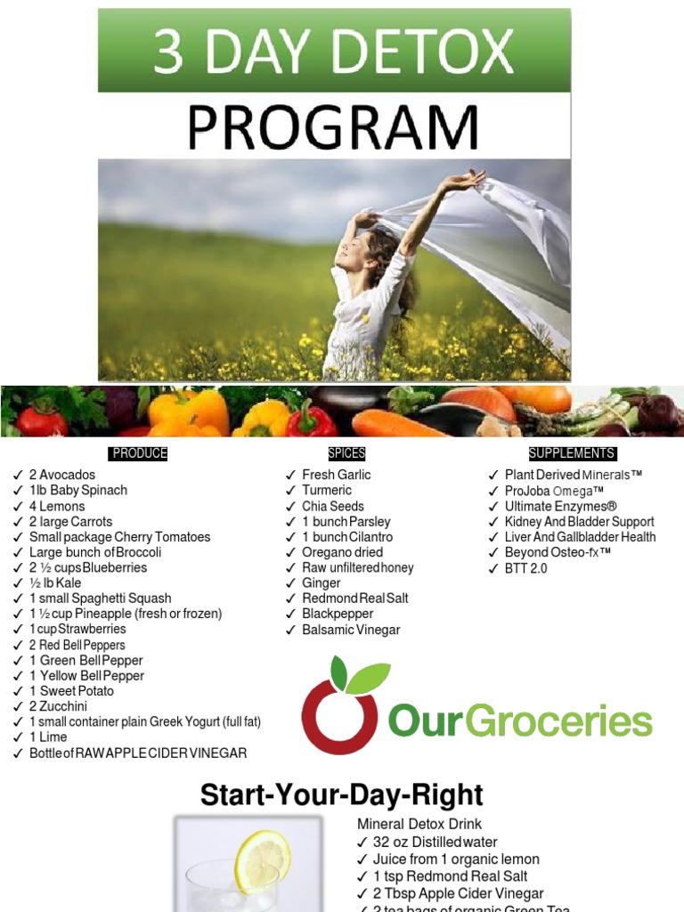 3 Day Detox Program 2 | PDF | Drink | Vinegar