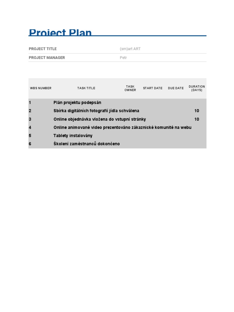 Spirkova PM 3a Project Plan | PDF