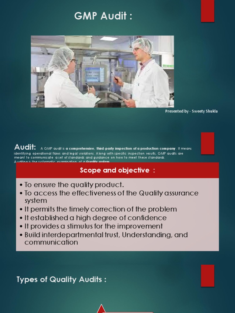 Basic GMP Audit | PDF