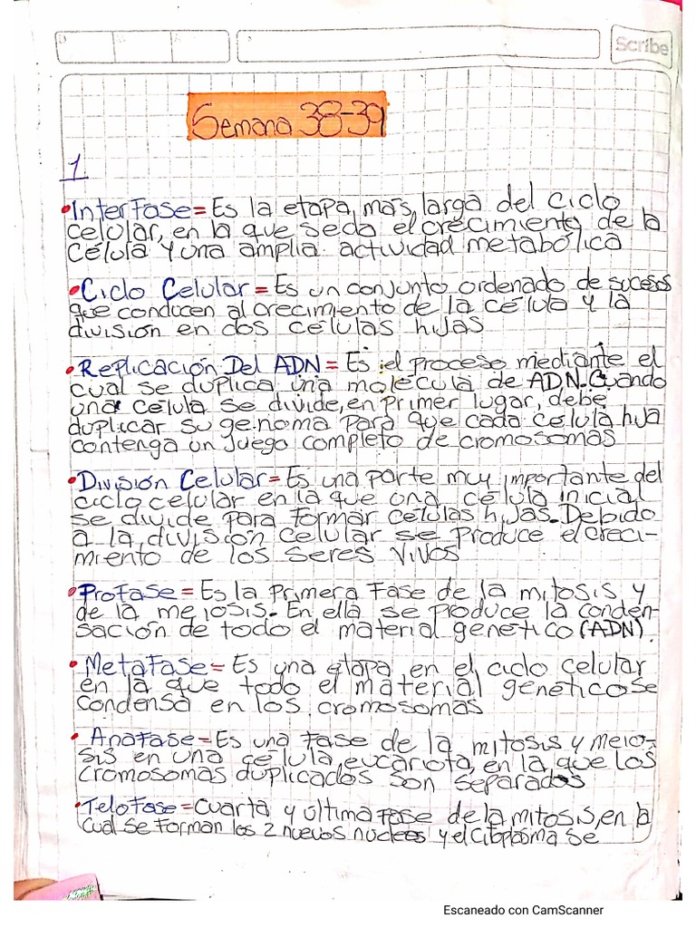 Semana 38-39 Sharik Samantha Montaña Amado | PDF