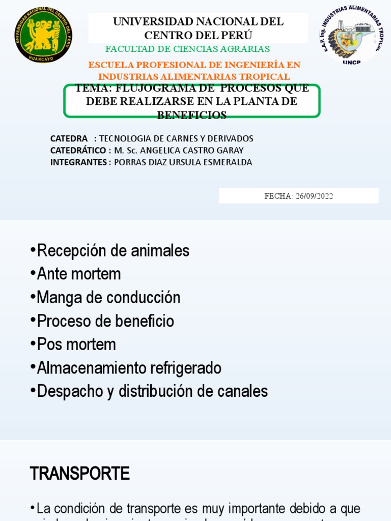 TP - T2 - P1 - Carnes | PDF | Carne | Ciencias de la Salud