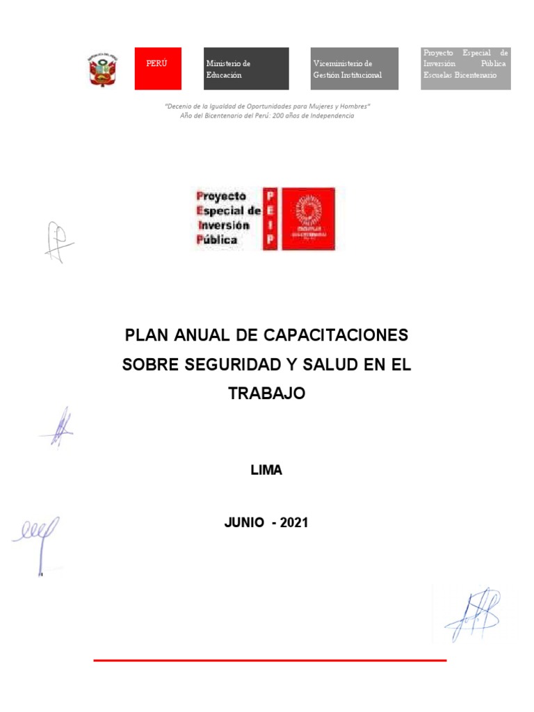 Capacitación en Seguridad y Salud Laboral | PDF