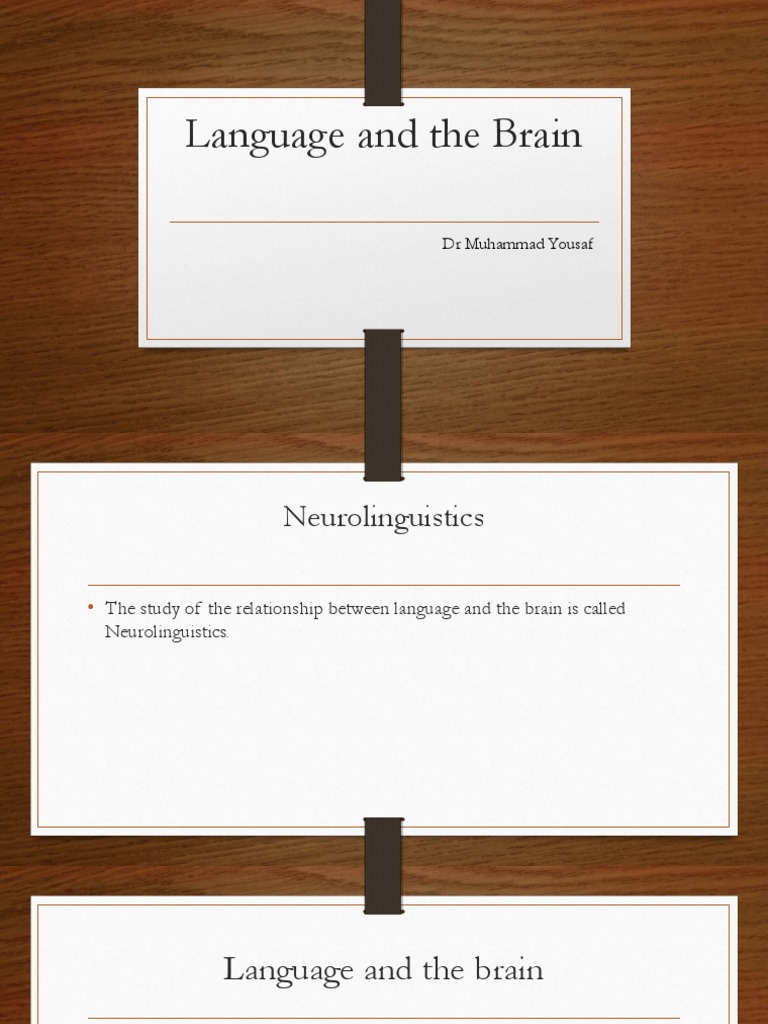 Neurolinguistics: Language and the Brain | PDF
