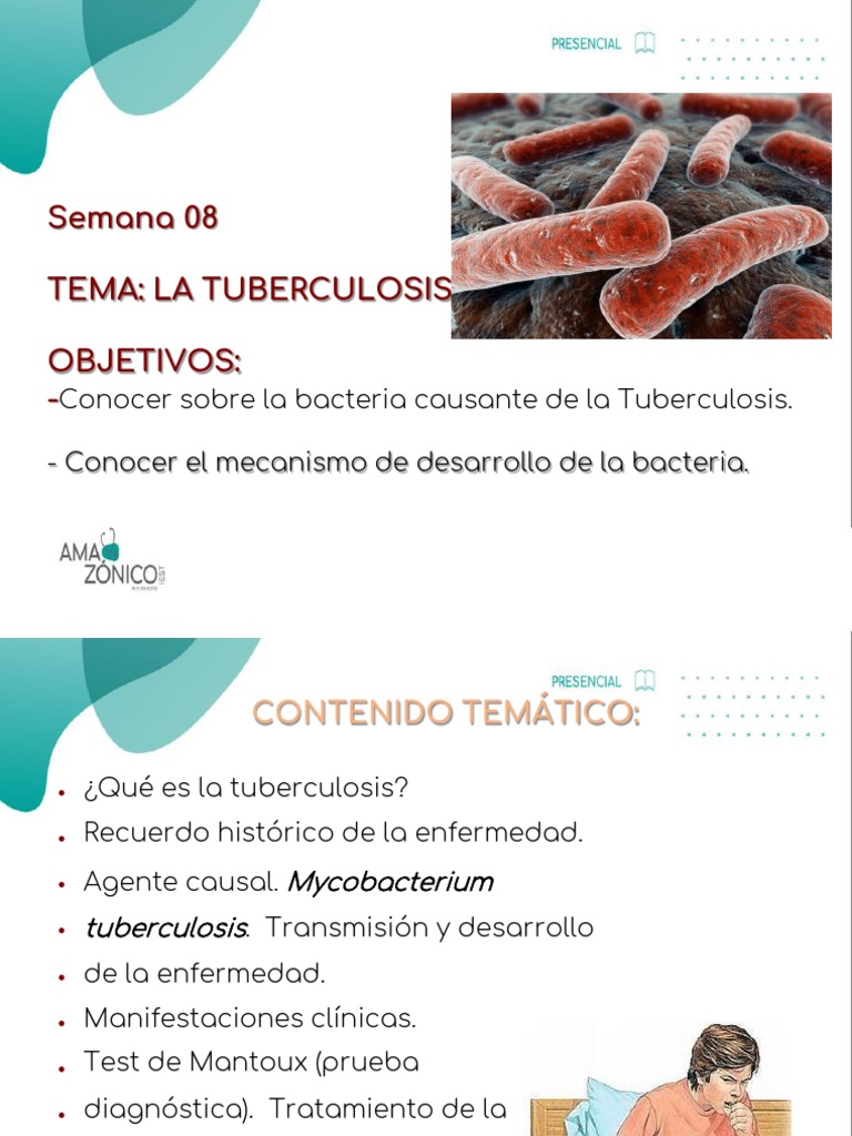 Tuberculosis | PDF | Tuberculosis | Mycobacterium