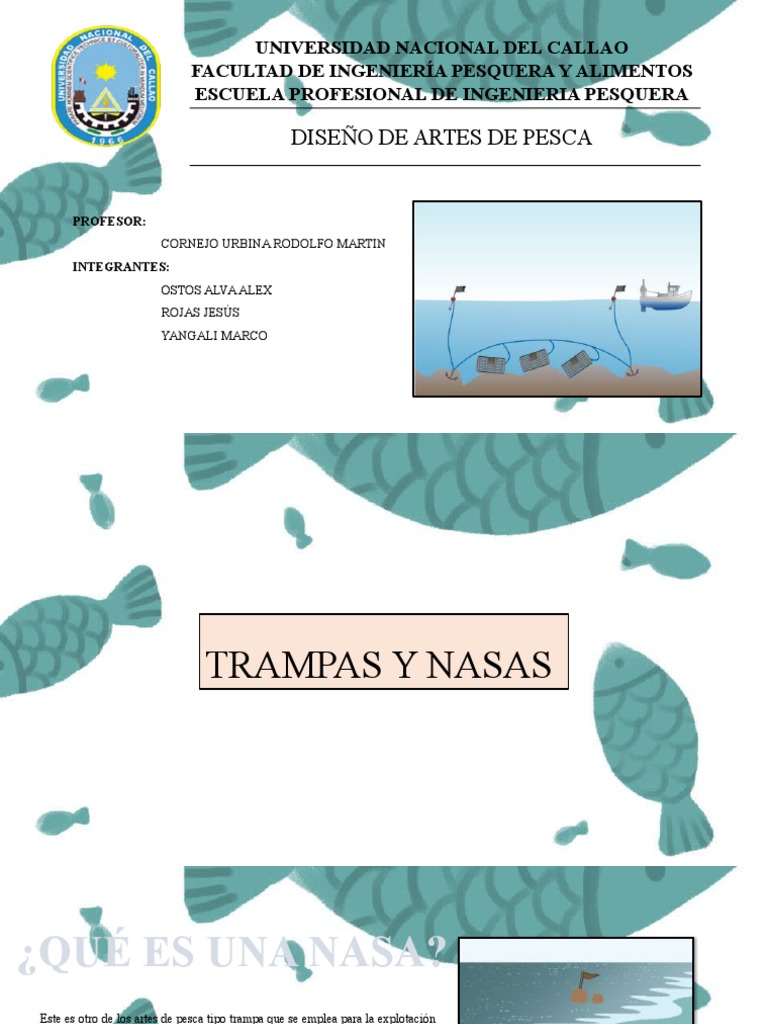 Tipos y Técnicas de Pesca con Nasas | PDF | Peces y humanos | Pescado