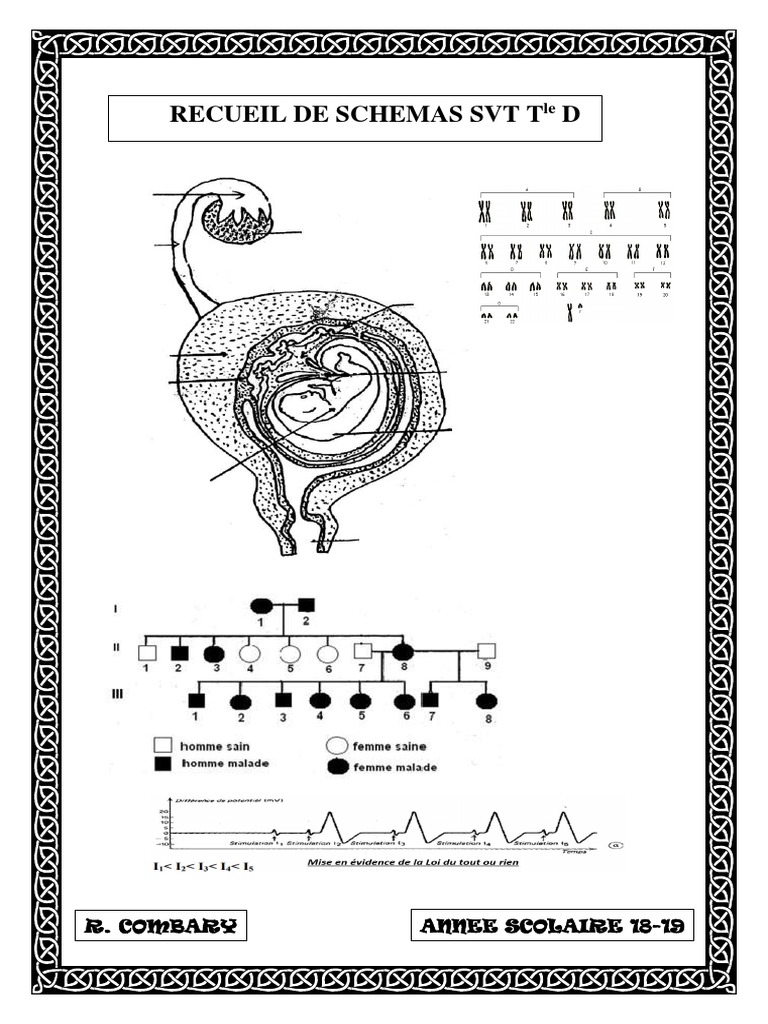 RECUEIL DE SCHEMAS SVT Tle D | PDF | Sciences et mathématiques