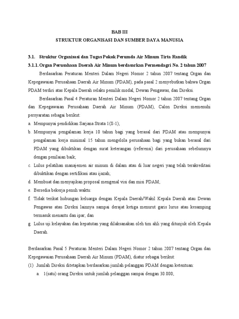 Kajian Bab III SDM PDAM Tirta Randik 2022 | PDF | Pengelolaan Keuangan & Uang