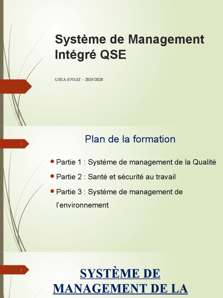 Smi Qse | PDF | Risque | Management de la qualité