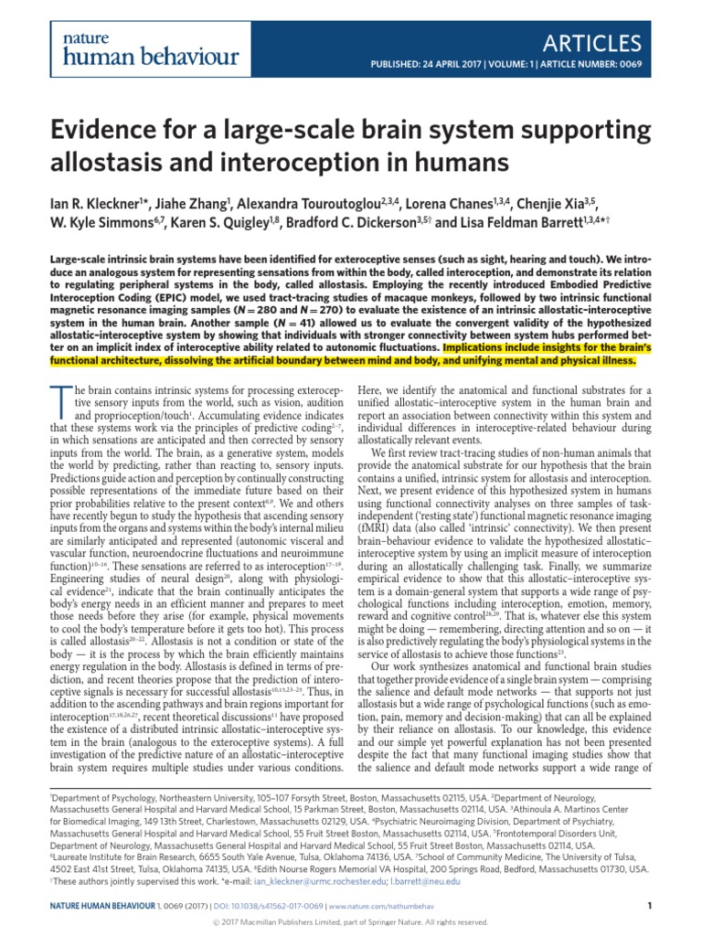 Evidence For A Large Scale Brain System Pdf Cerebral Cortex Brain