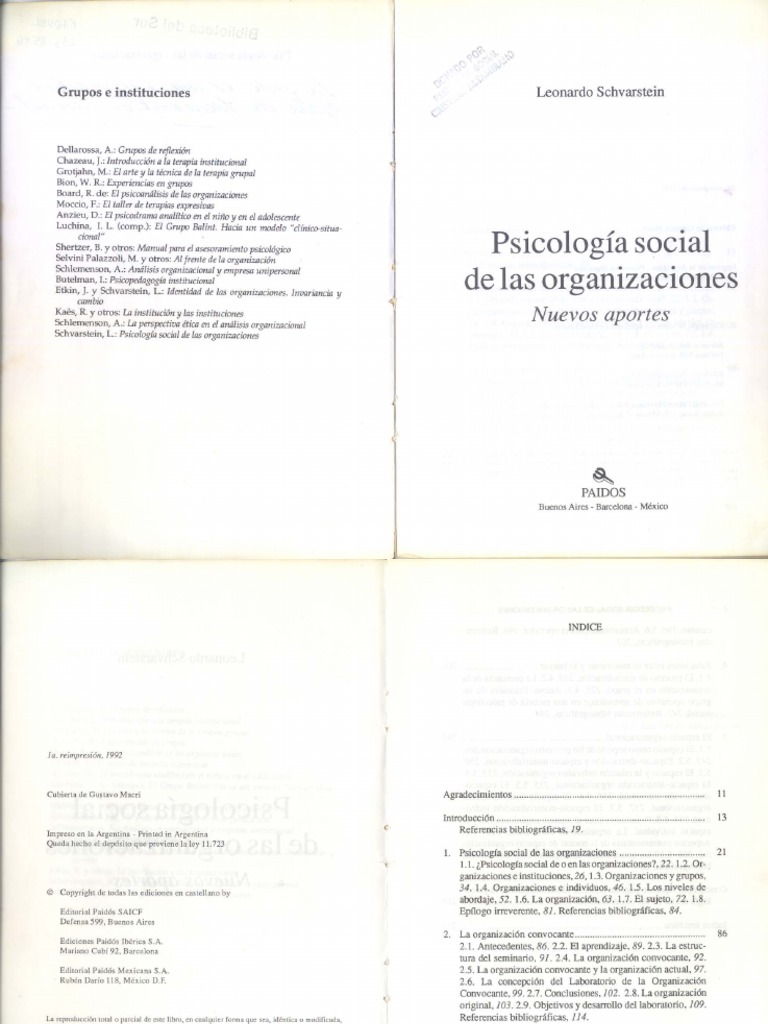 Schvarstein Psicologia Social de Las Organizaciones | PDF