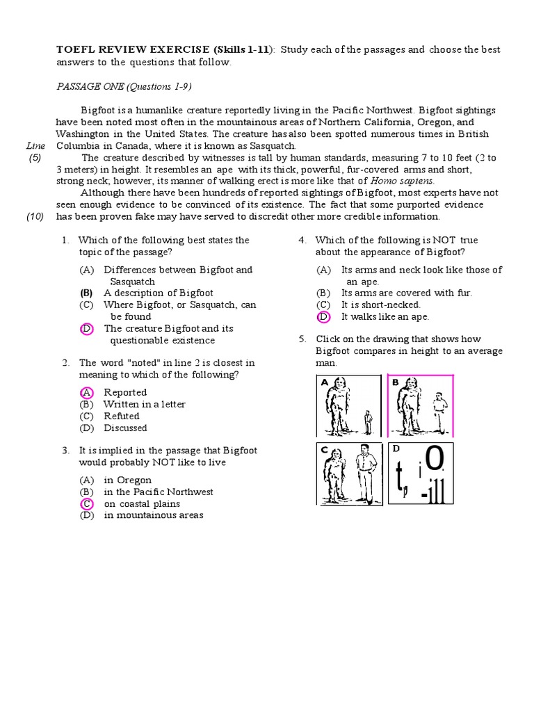 TOEFL Worksheet | PDF