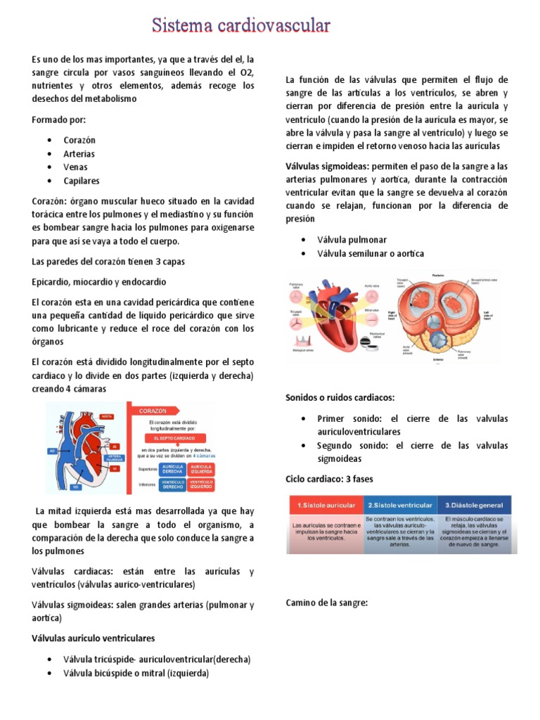 Fisiologia Cardiaca | PDF | Electrocardiografia | Corazón