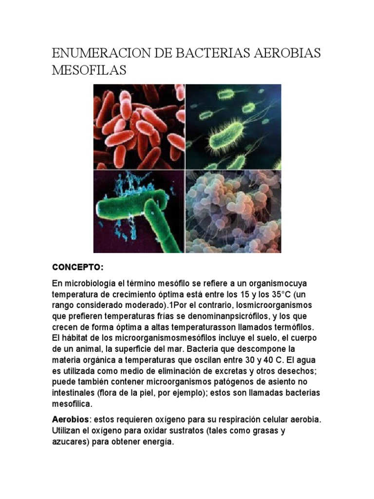 Bacterias Aerobias Mesófilas: Análisis y Técnicas | PDF | Las bacterias ...