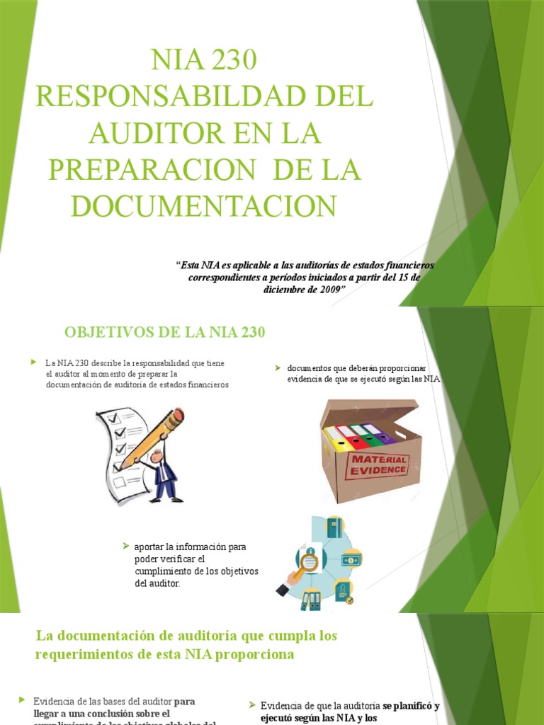 NIA 230 Responsabilidad del auditor en la preparación de la ...