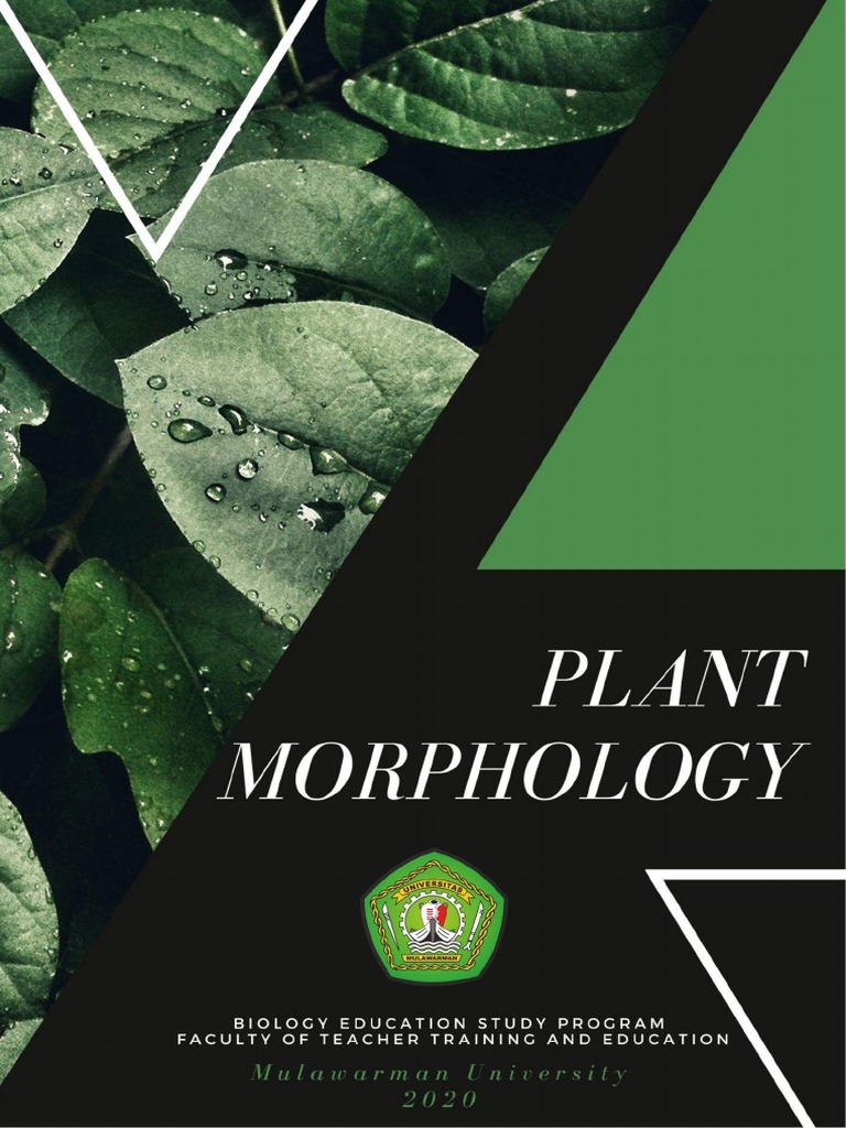 Buku Ajar Morfologi Tumbuhan | PDF