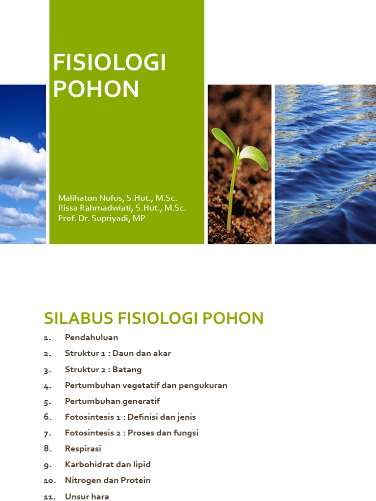 Pendahuluan - Fisiologi Pohon | PDF | Sains & Matematika
