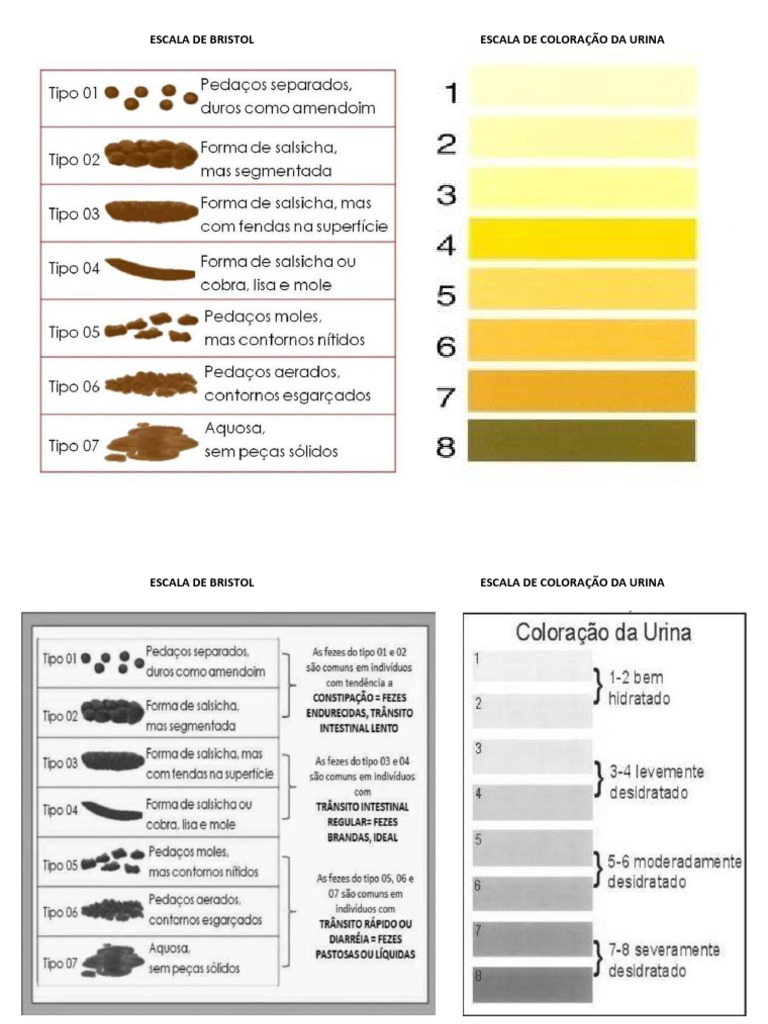 Escala de Bristol e Urina | PDF