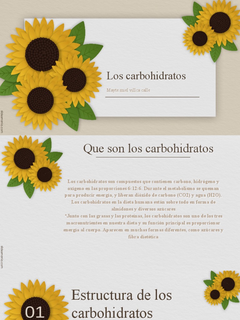 Carbohidratos Power Point. | PDF