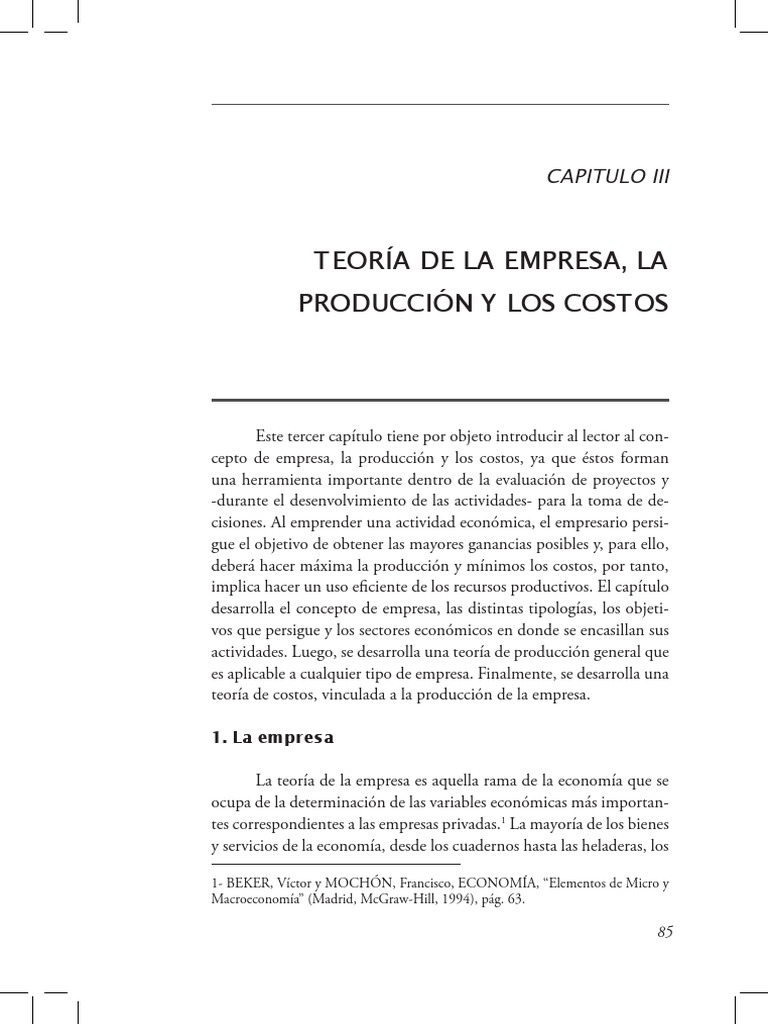 Unidad II-Teoría de La Empresa, Producción y Costos | PDF